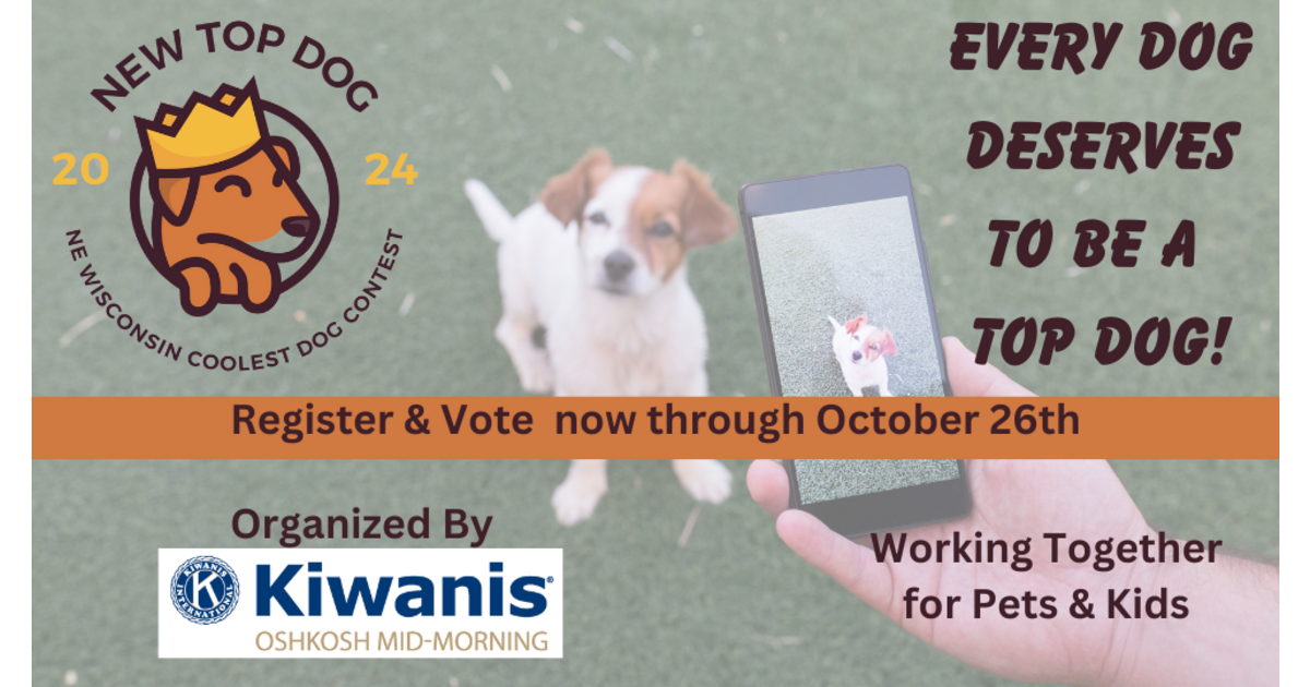 Sandi Paws Rescue | Sandi Paws' NEW Top Dog 2024