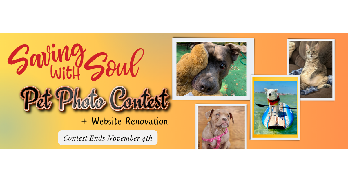 Saving with Soul Pet Rescue | Saving with Soul Website Renovation Photo ...