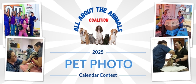 All About the Animals Coalition | All About the Animals Coalition 2025 ...