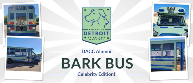 Friends of Detroit Animal Care and Control | DACC Alumni Photo Contest ...