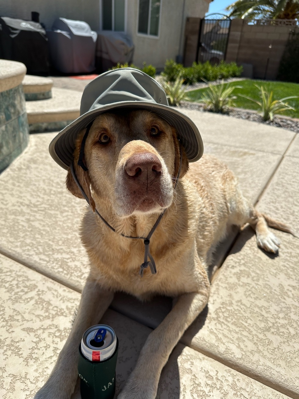 Vote for Remington | UHCCF's Pic My Pet Photo Contest