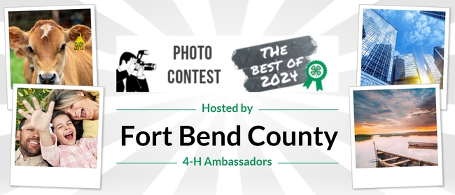 bannertemplate-01.jpg?v=5388-24