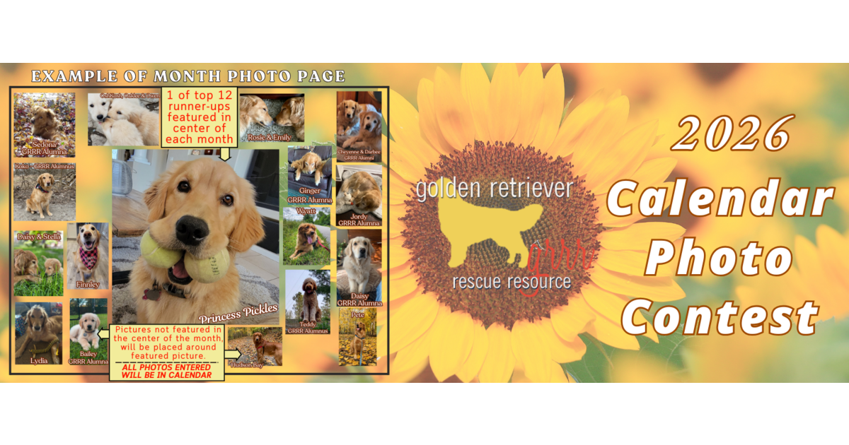 bannerFB-14.png?v=5395-24