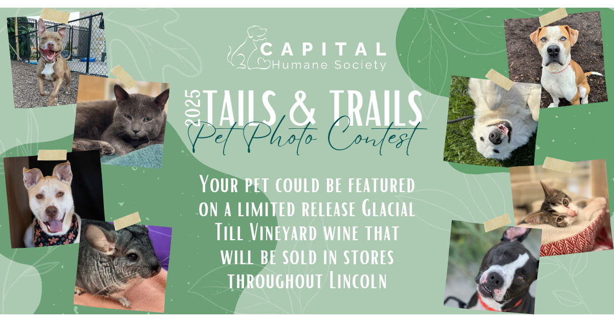 Capital Humane Society | Tails & Trails Pet Photo Contest