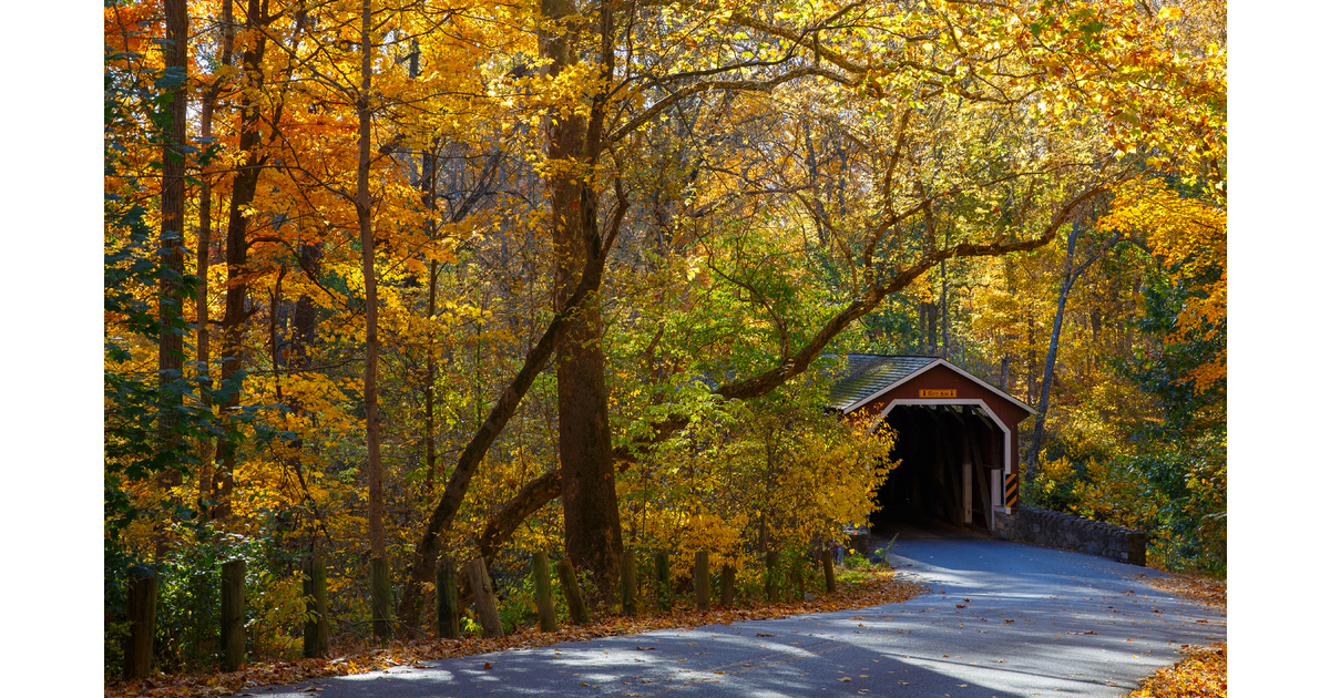 Vote for Fall in County Park | Scenes of Lancaster County Calendar Contest