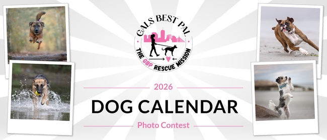 Elizabeth Boudreau Photography | 2026 Dog Calendar Photo Contest