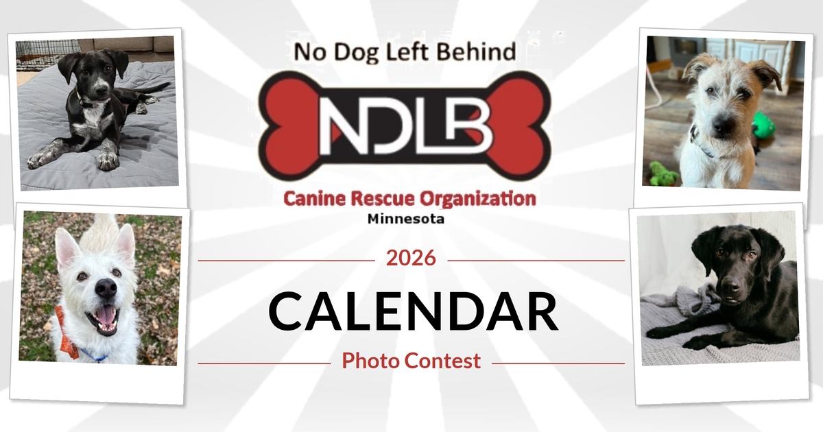 No Dog Left Behind MN | NDLB Rescue 2026 Calendar Photo Contest ...