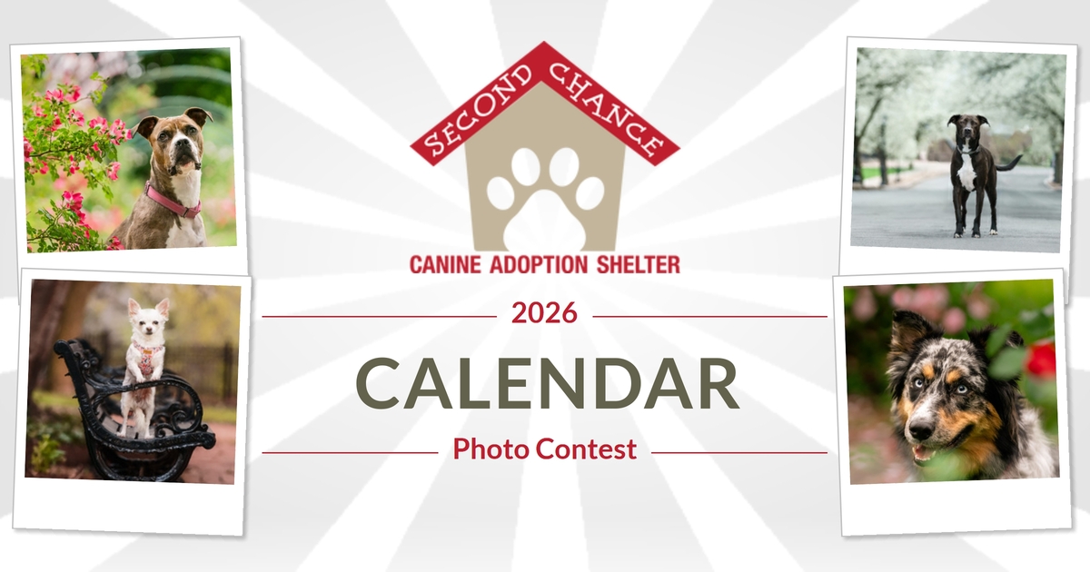 Nancy Kieffer Photography | Second Chance Canine Adoption Shelter ...