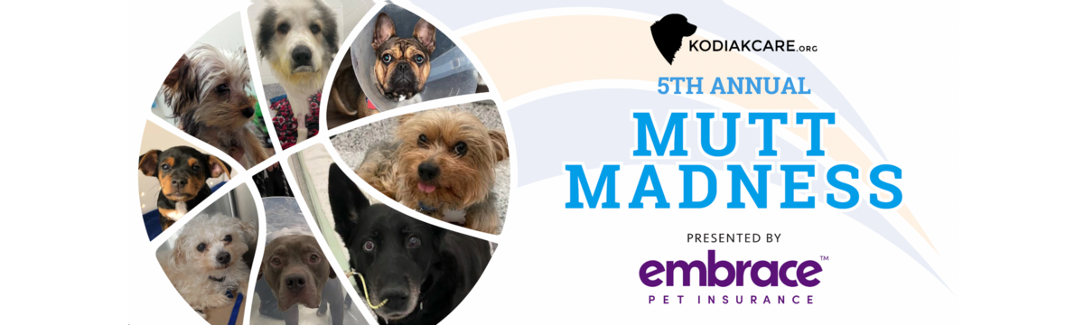KodiakCare | Mutt Madness