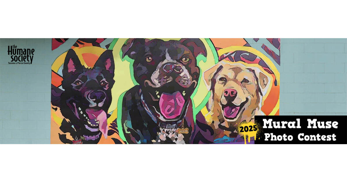Homepage | The Humane Society for Tacoma and Pierce County | Mural Muse ...