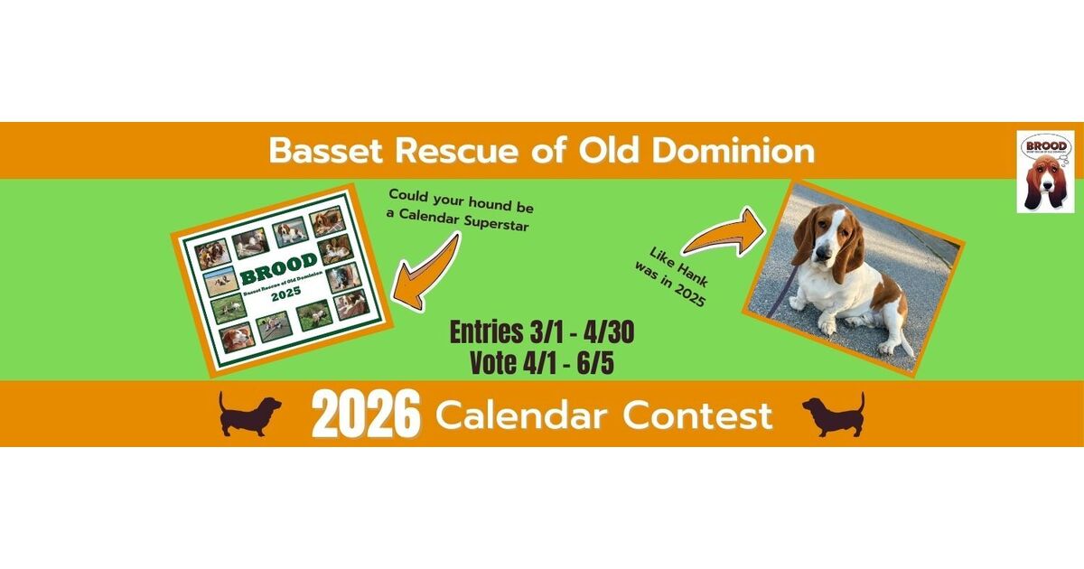 Basset Rescue of Old Dominion BROOD | BROOD 2026 Calendar Contest