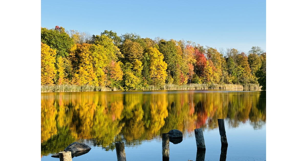 Vote for Sinking Ponds Sanctuary | Nature Photography Contest