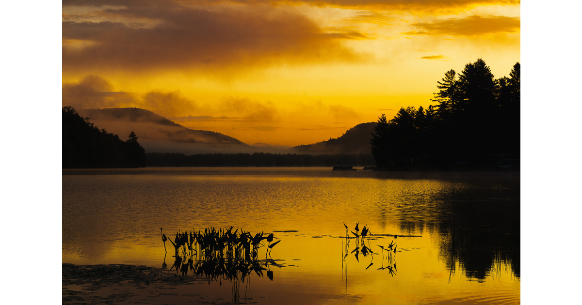 Vote for Yellow Dawn on Oxbow Lake | Nature Photography Contest