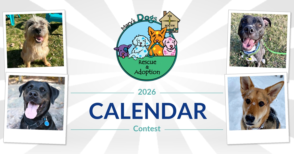 Mary's Dogs Rescue & Adoption | 2026 Mary’s Dogs Rescue & Adoption ...