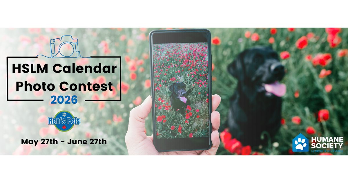 Humane Society London & Middlesex | HSLM 2026 Calendar Photo Contest