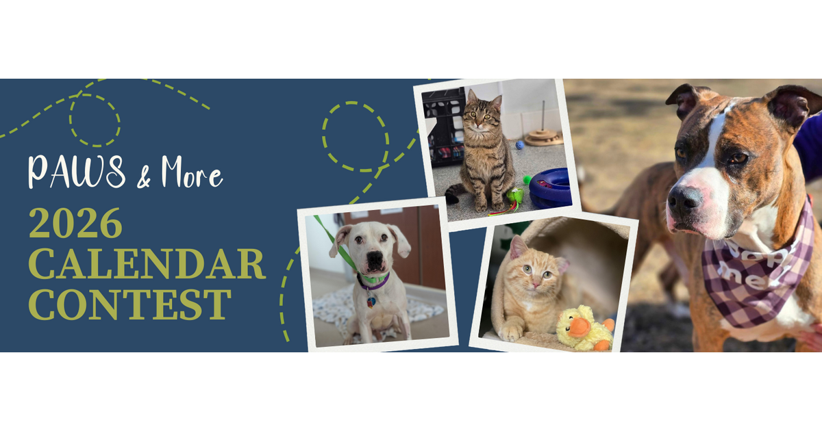 PAWS & More Animal Shelter | 2026 PAWSitively Perfect