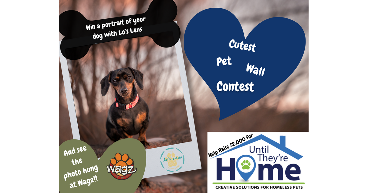 Until They're Home | Cutest Pet Wall Contest