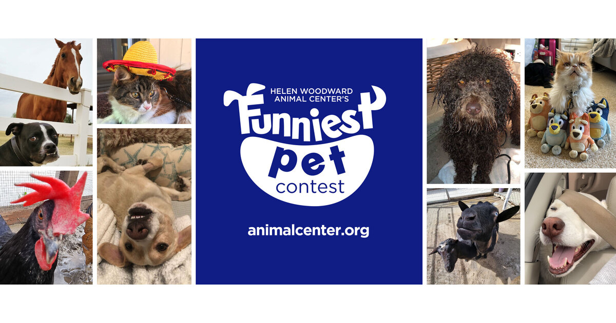 Helen Woodward Animal Center | 2026 Funniest Pet Calendar Contest