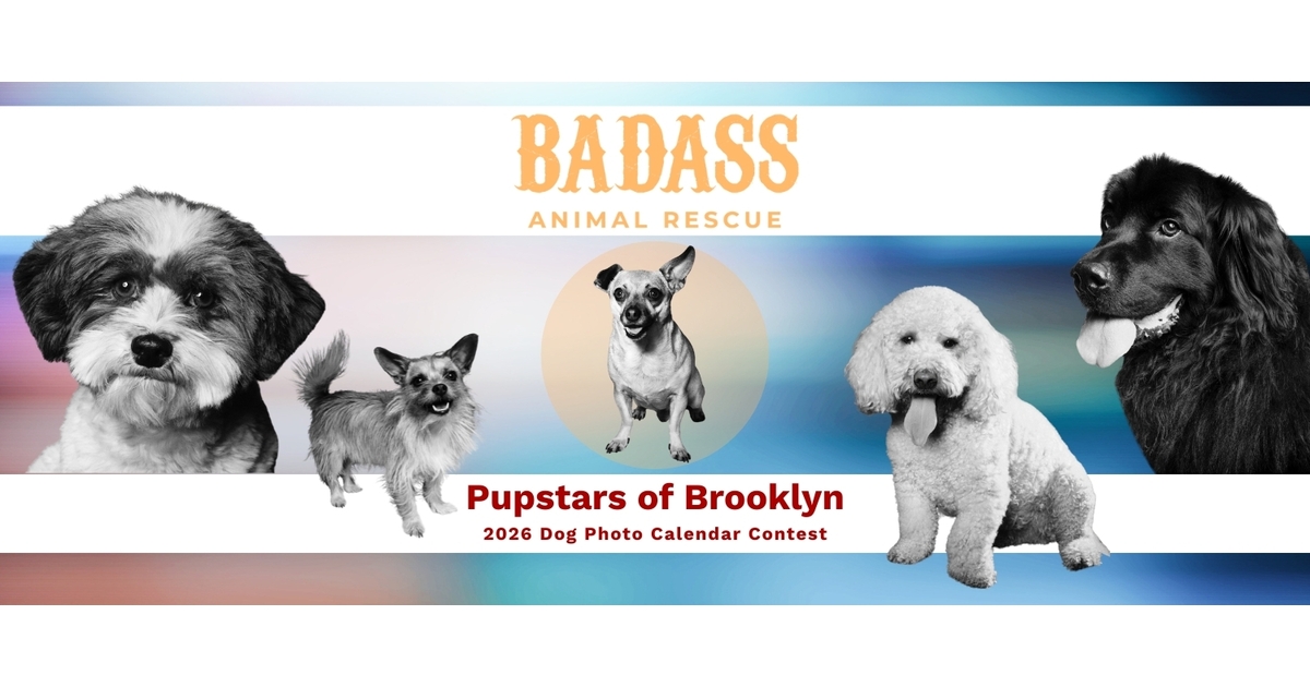 Badass Animal Rescue | Pupstars of Brooklyn