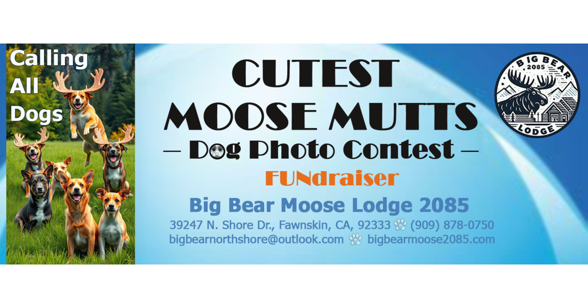 Big Bear Moose Lodge 2085 | CUTEST MOOSE MUTTS – Dog Photo Fundraiser ...