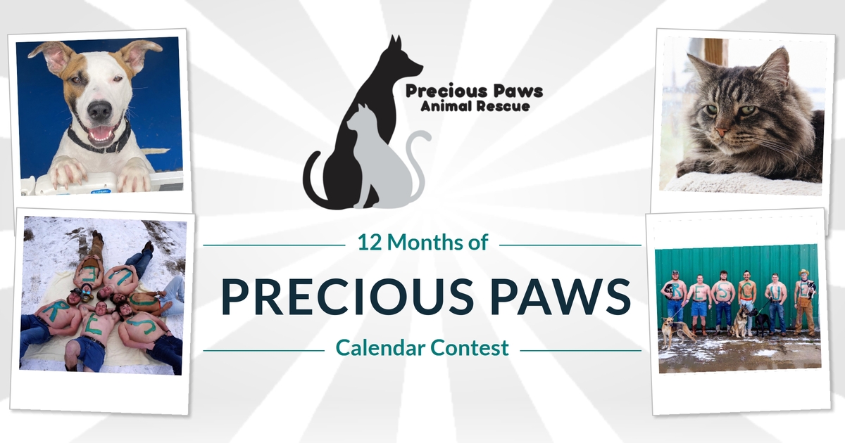 Precious Paws | 12 Months of Precious Paws Calendar Contest