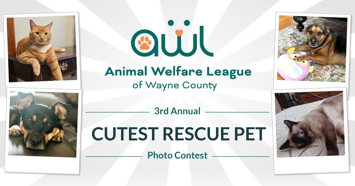 Animal Welfare League of Wayne County | 3rd Annual AWL Cutest Rescue ...