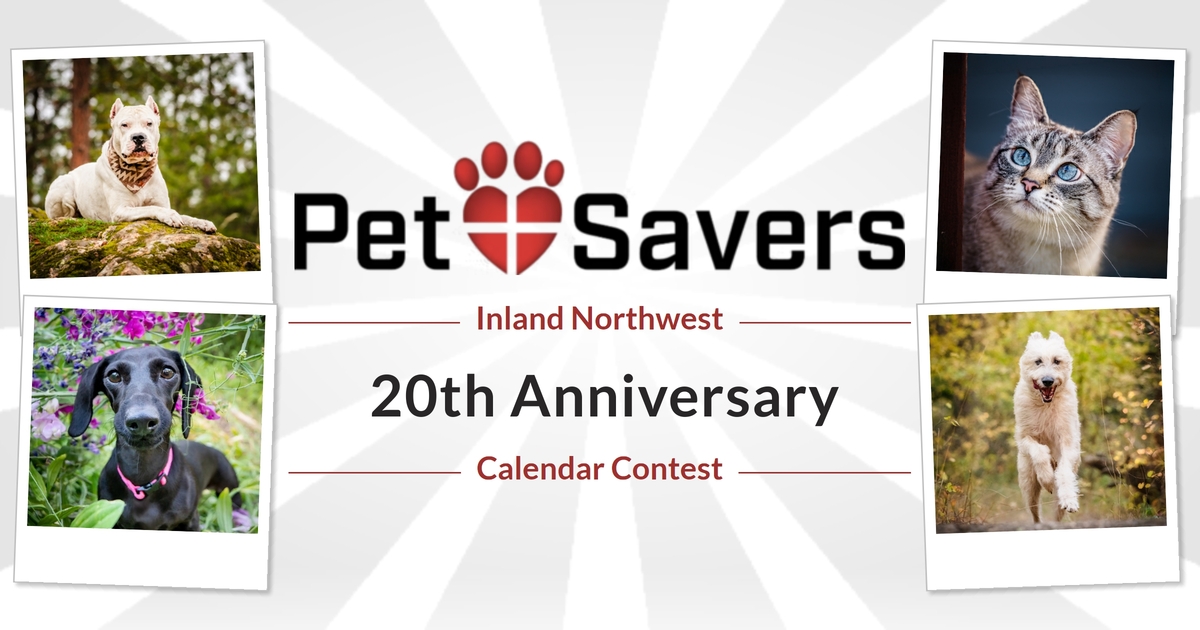 Pet Savers | Pet Savers Calendar Contest