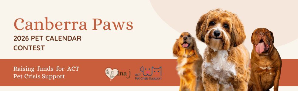 Ina J Photography | Canberra Paws 2026 Calendar Contest
