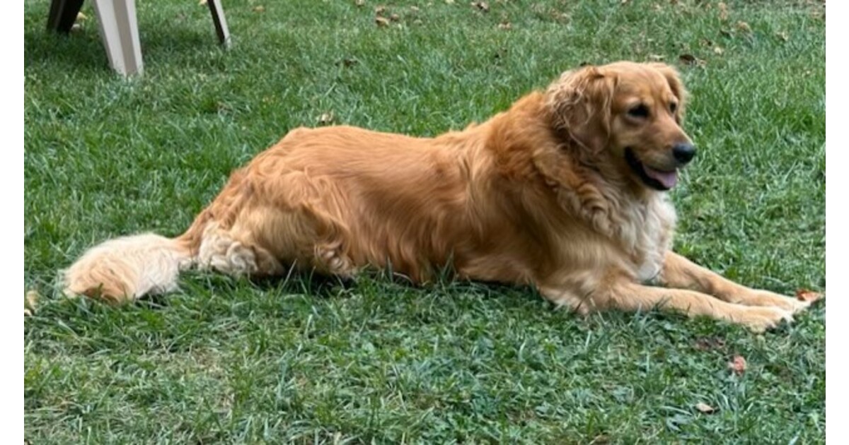 Vote for Contestant K | 2026 GRRACE Calendar Photo Contest