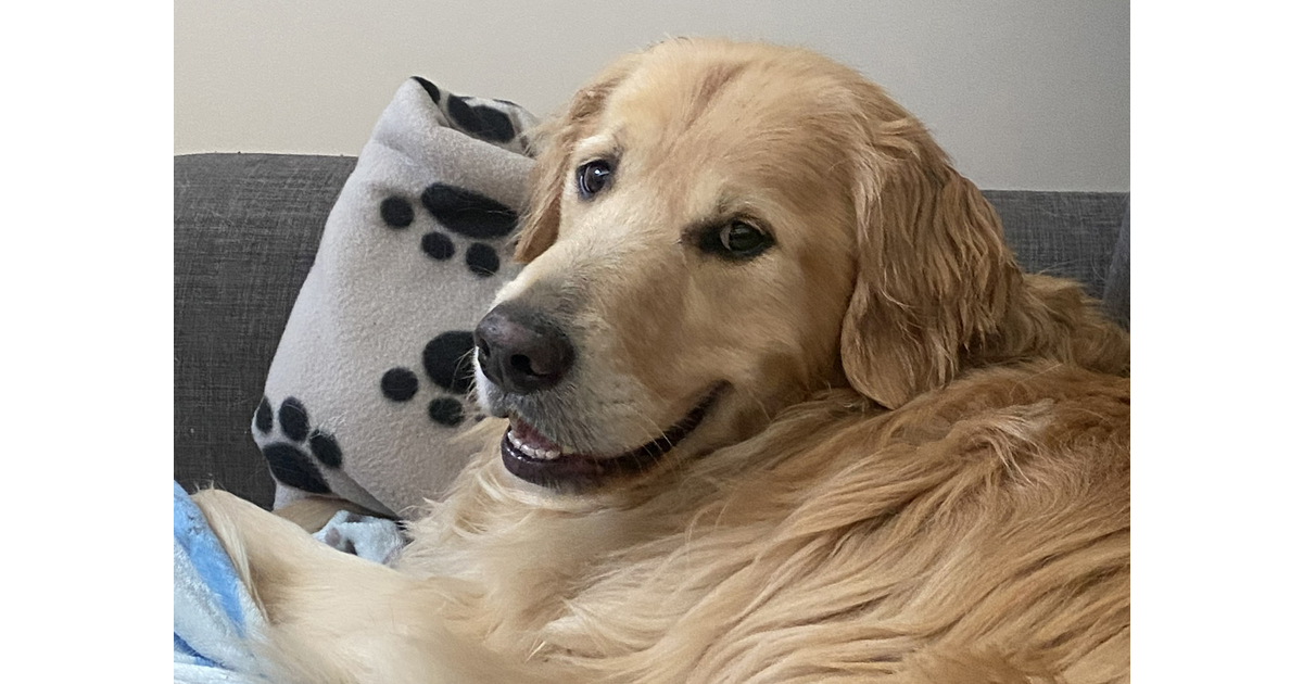 Vote for Contestant S | 2026 GRRACE Calendar Photo Contest