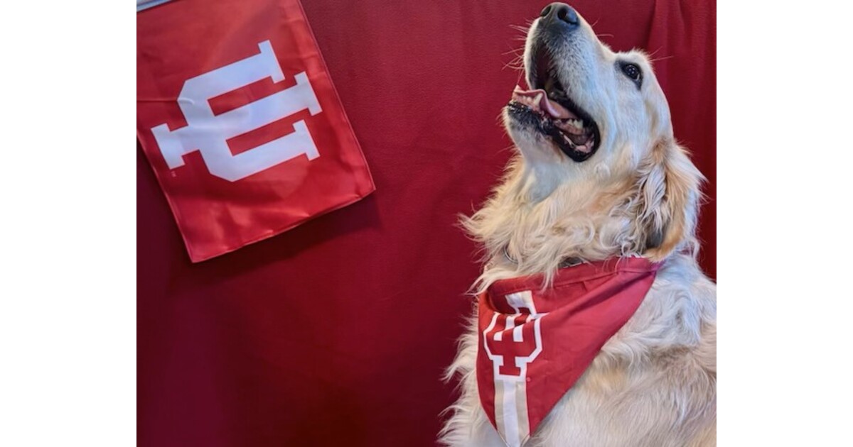 Vote for Contestant V | 2026 GRRACE Calendar Photo Contest