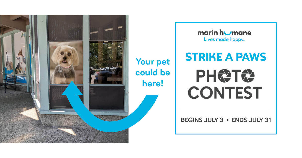 Marin Humane | Marin Humane Strike A Paws Photo Contest