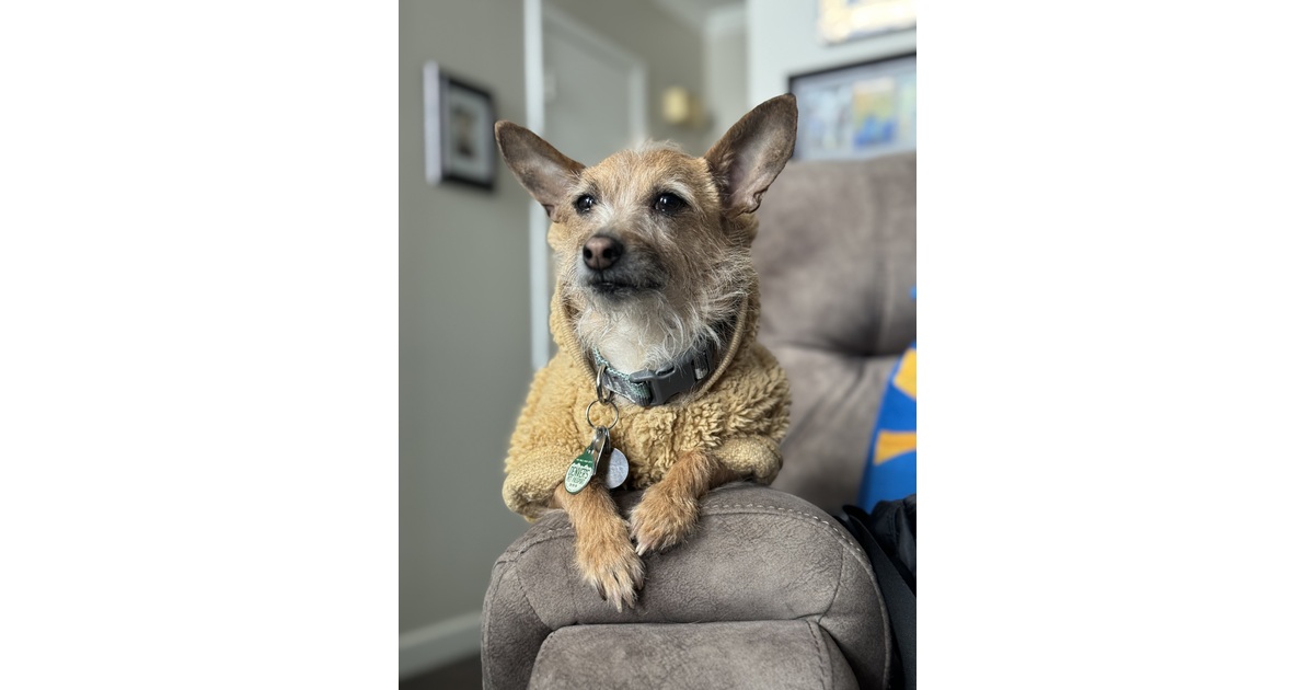 Vote for Dante | Calendar Photo Contest