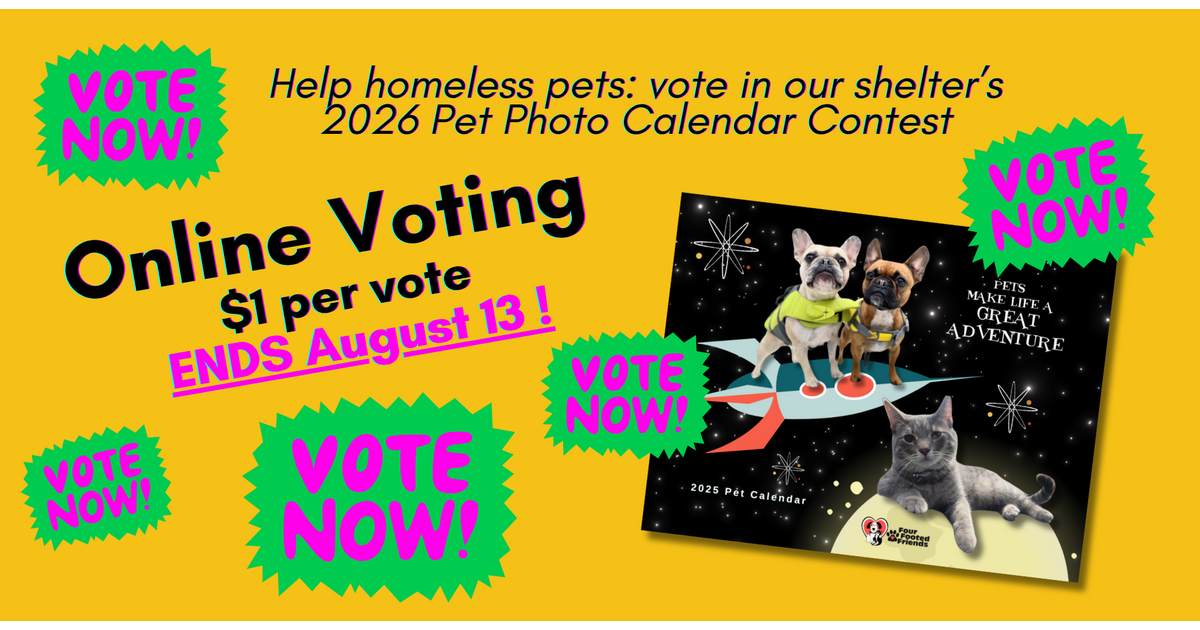 Four Footed Friends | Four Footed Friends 2026 Pet Photo Calendar Contest