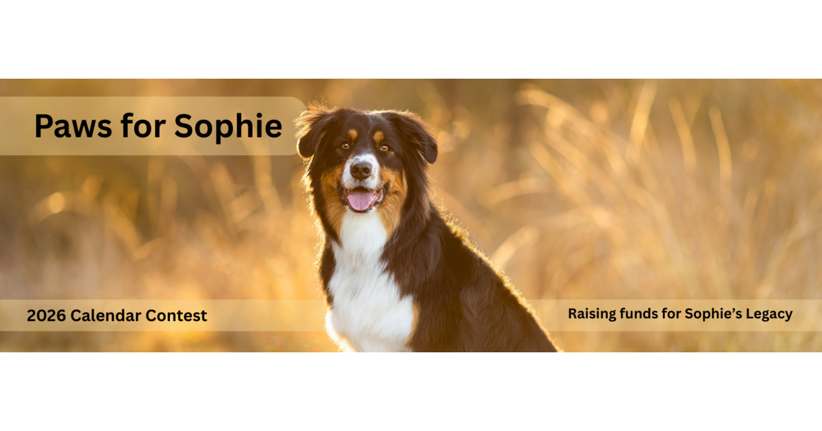 Sophie's Legacy | Paws for Sophie 2026 Calendar Contest