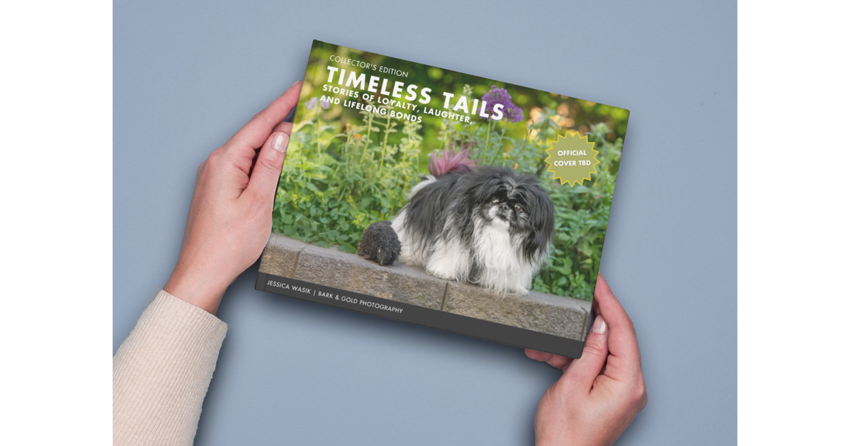 Vote for Ewok | Timeless Tails Book Cover Contest
