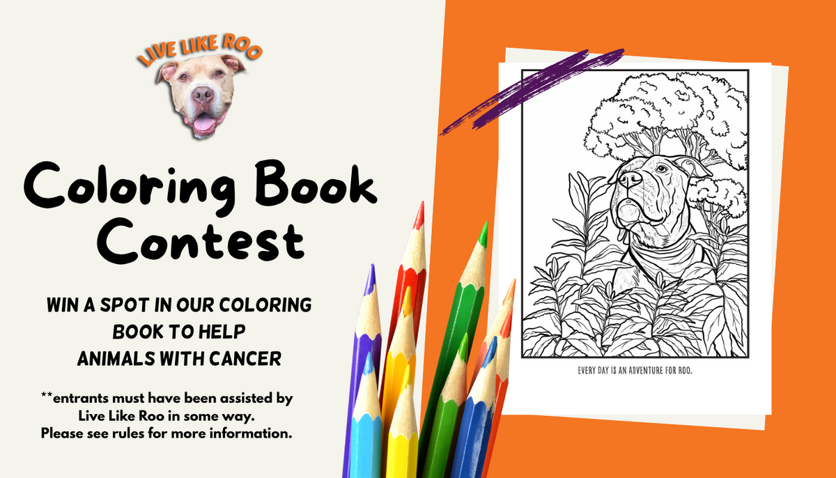 Live Like Roo Foundation | Live Like Roo Coloring Book Contest