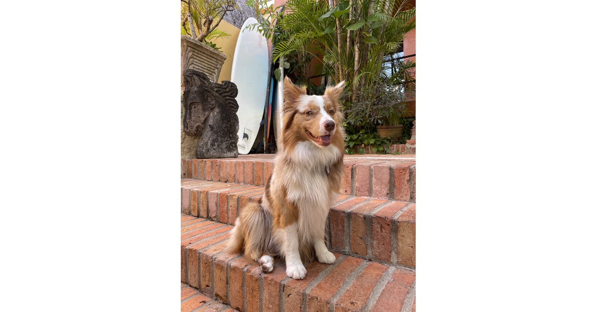 Vote for Gigi | Howling Heroes LAFD Calendar Contest