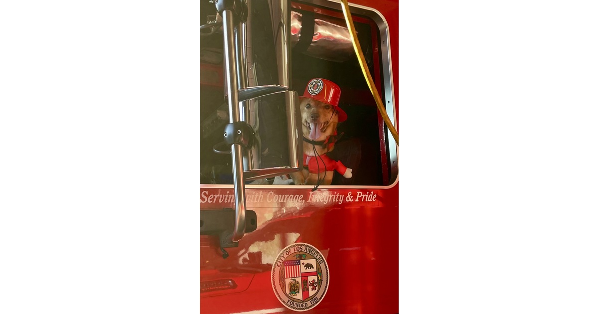 Vote for Reggie | Howling Heroes LAFD Calendar Contest