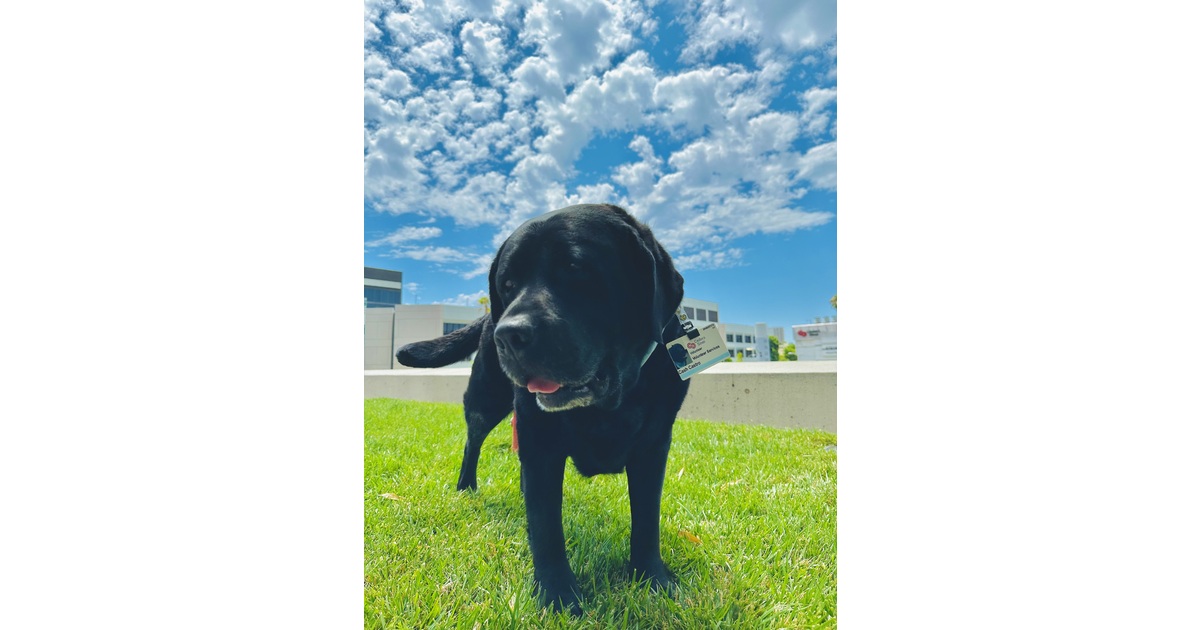 Vote for Cash | Howling Heroes LAFD Calendar Contest