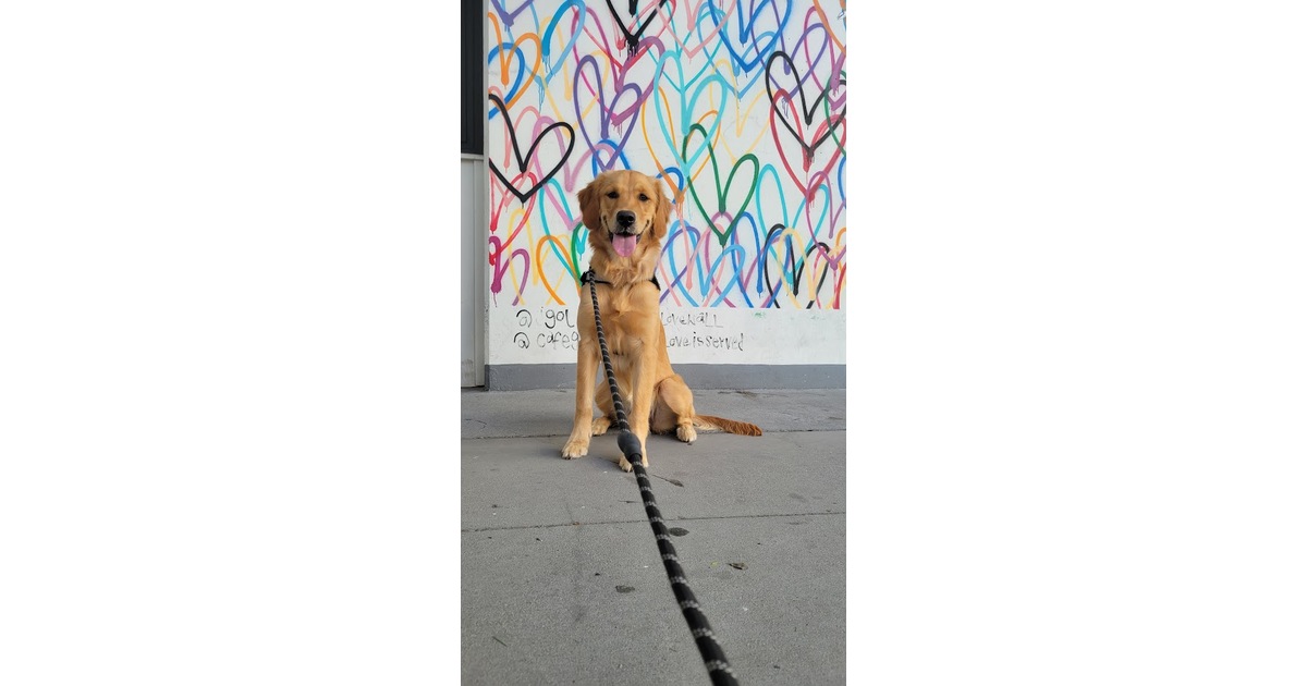 Vote for Phoebe | Howling Heroes LAFD Calendar Contest