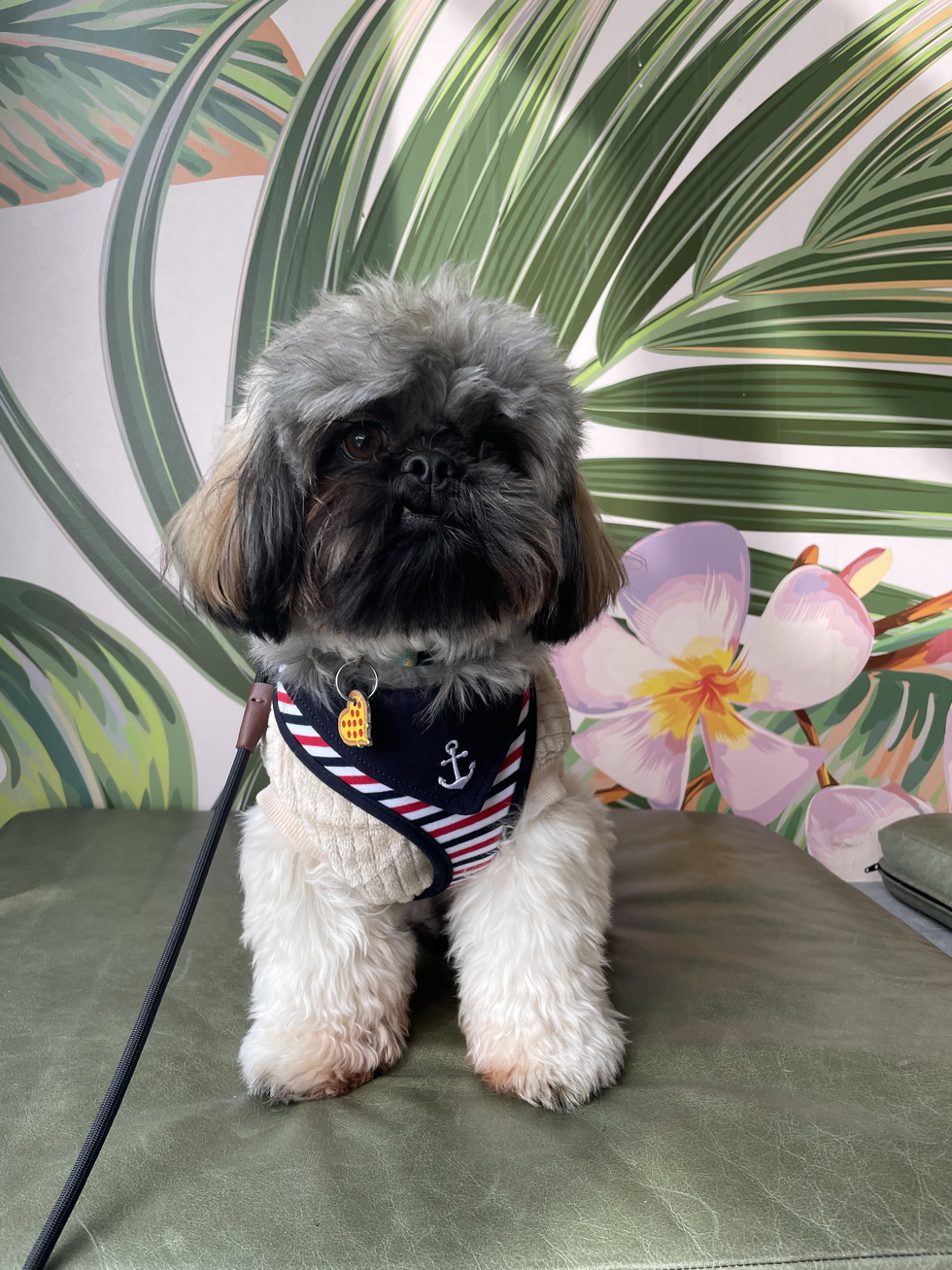 Vote for Peppers | Howling Heroes LAFD Calendar Contest