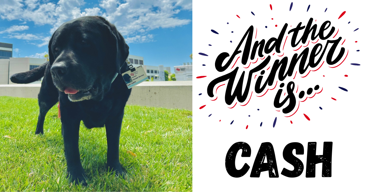 Los Angeles Fire Department Foundation | Howling Heroes LAFD Calendar ...