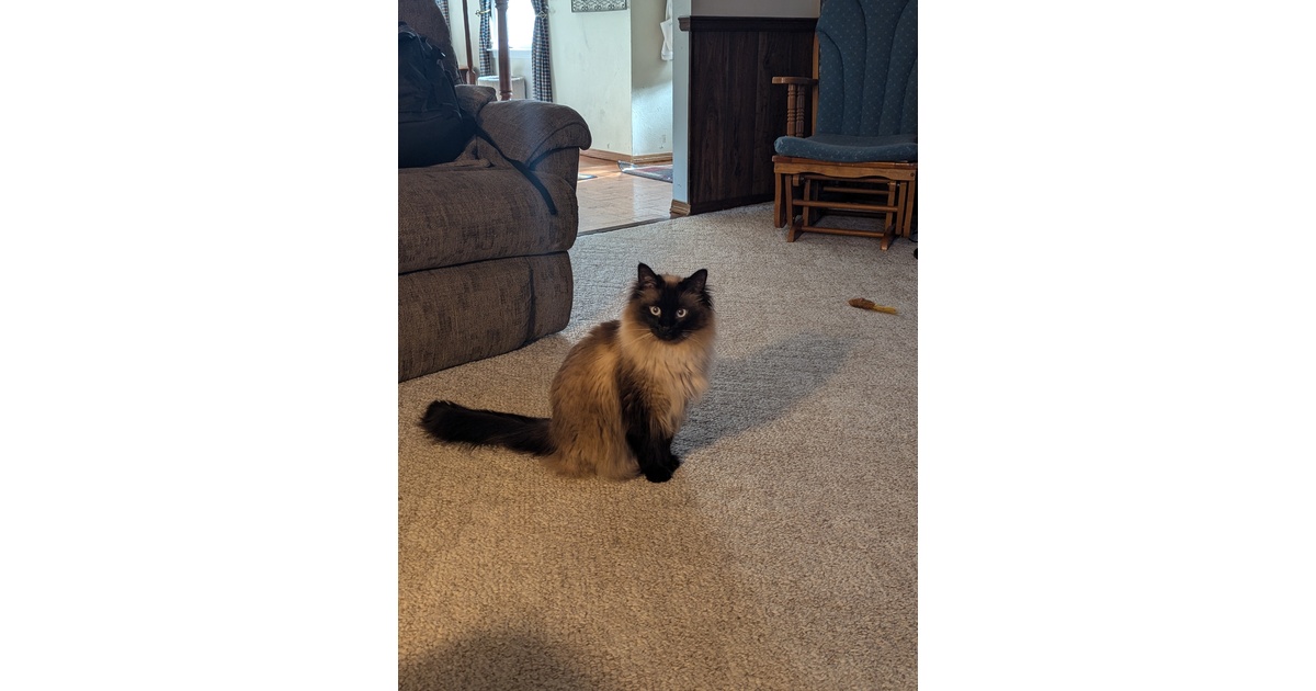 Vote for Zae | Pints for Pets Beer Label Photo Contest