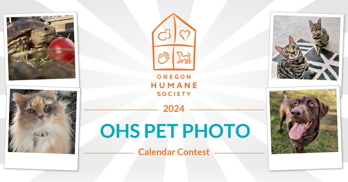bannertemplate-03.jpg?v=5751-31