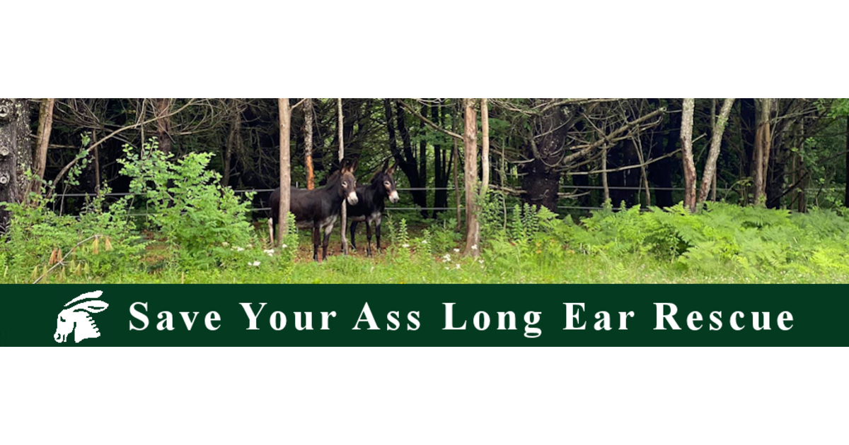 Save Your Ass Long Ear Rescue | Save Your Ass Long Ear Rescue Calendar ...