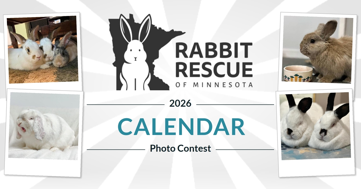 Rabbit Rescue of MN | Rabbit Rescue of Minnesota 2026 Calendar Photo ...