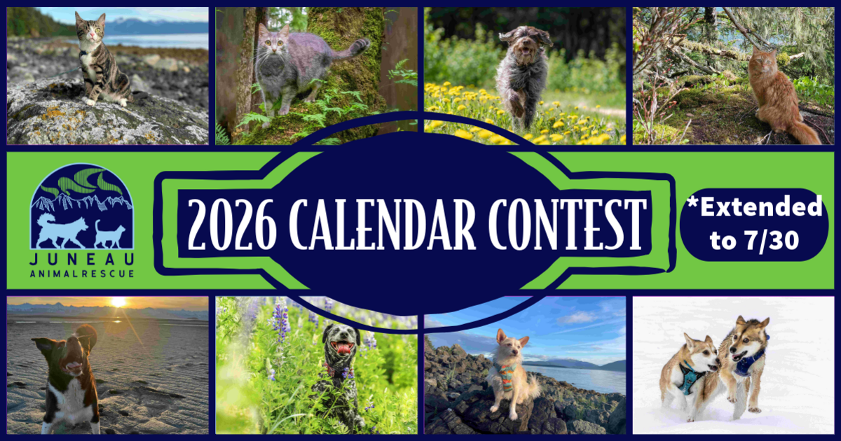 Prizes | Juneau Animal Rescue | Juneau Animal Rescue Alaska Pets Photo ...