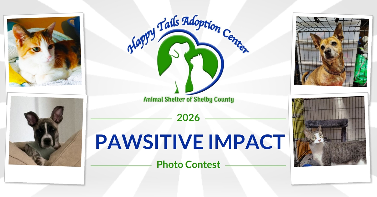 Happy Tails Adoption Center Shelby County Animal Shelter | Pawsitive ...