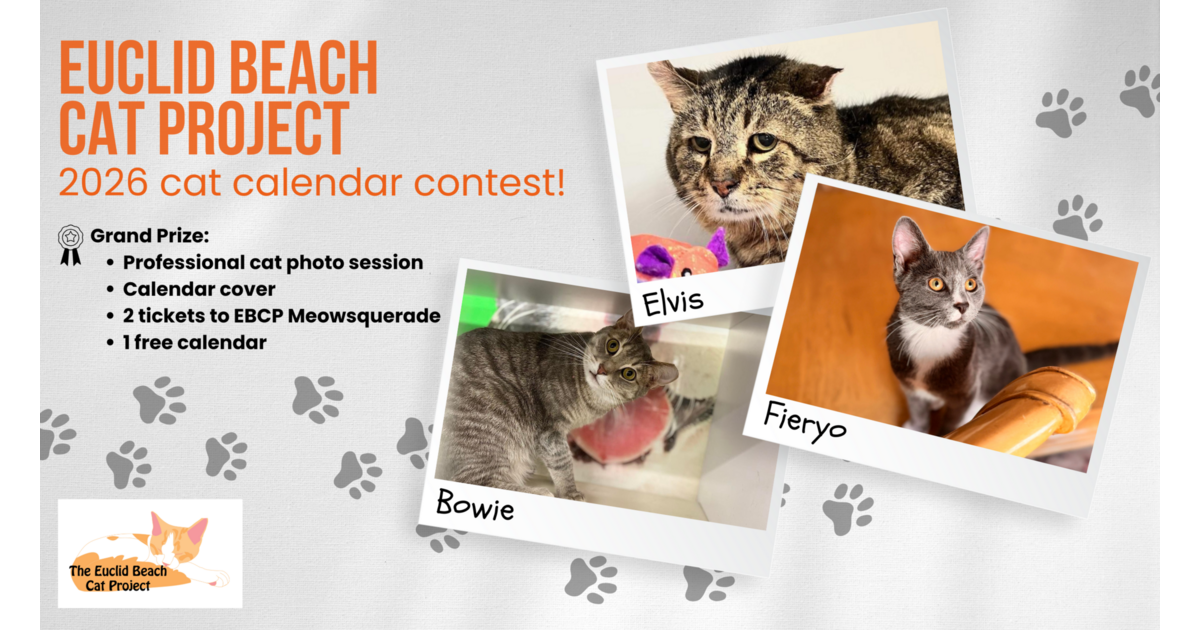 Euclid Beach Cat Project | 2026 Euclid Beach Cat Project Calendar Contest